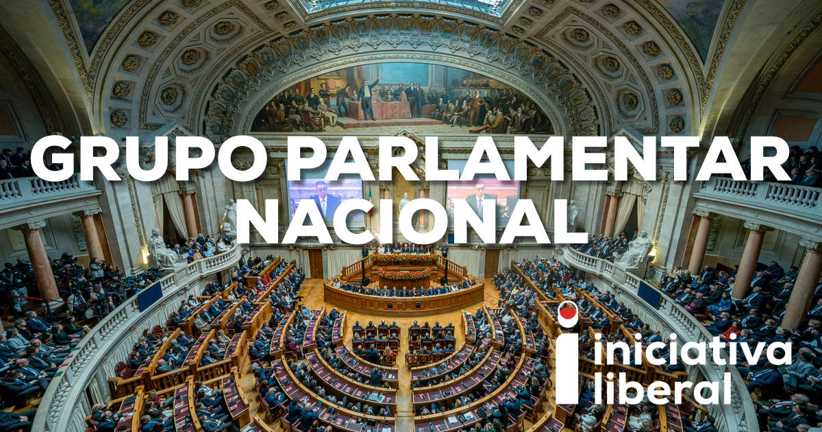 Grupo Parlamentar Nacional – Iniciativa Liberal
